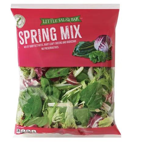 LITTLE SALAD BAR SPRING MIX SALAD KIT – Emmas Premium Services